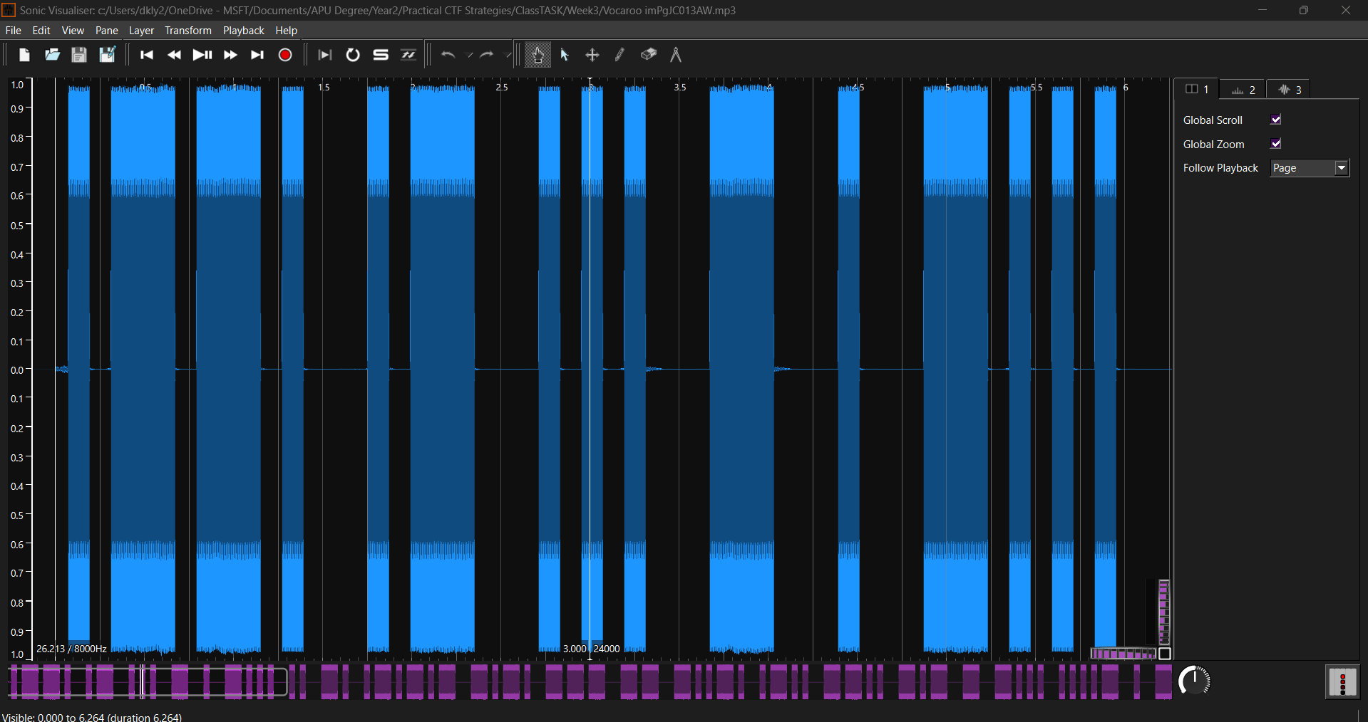 CTF Audio Steganography: Hands-On Strategies for Decoding Hidden Messages
