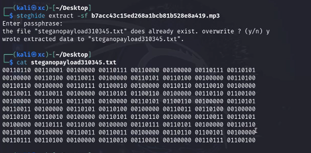 CTF Audio Steganography: Hands-On Strategies for Decoding Hidden Messages
